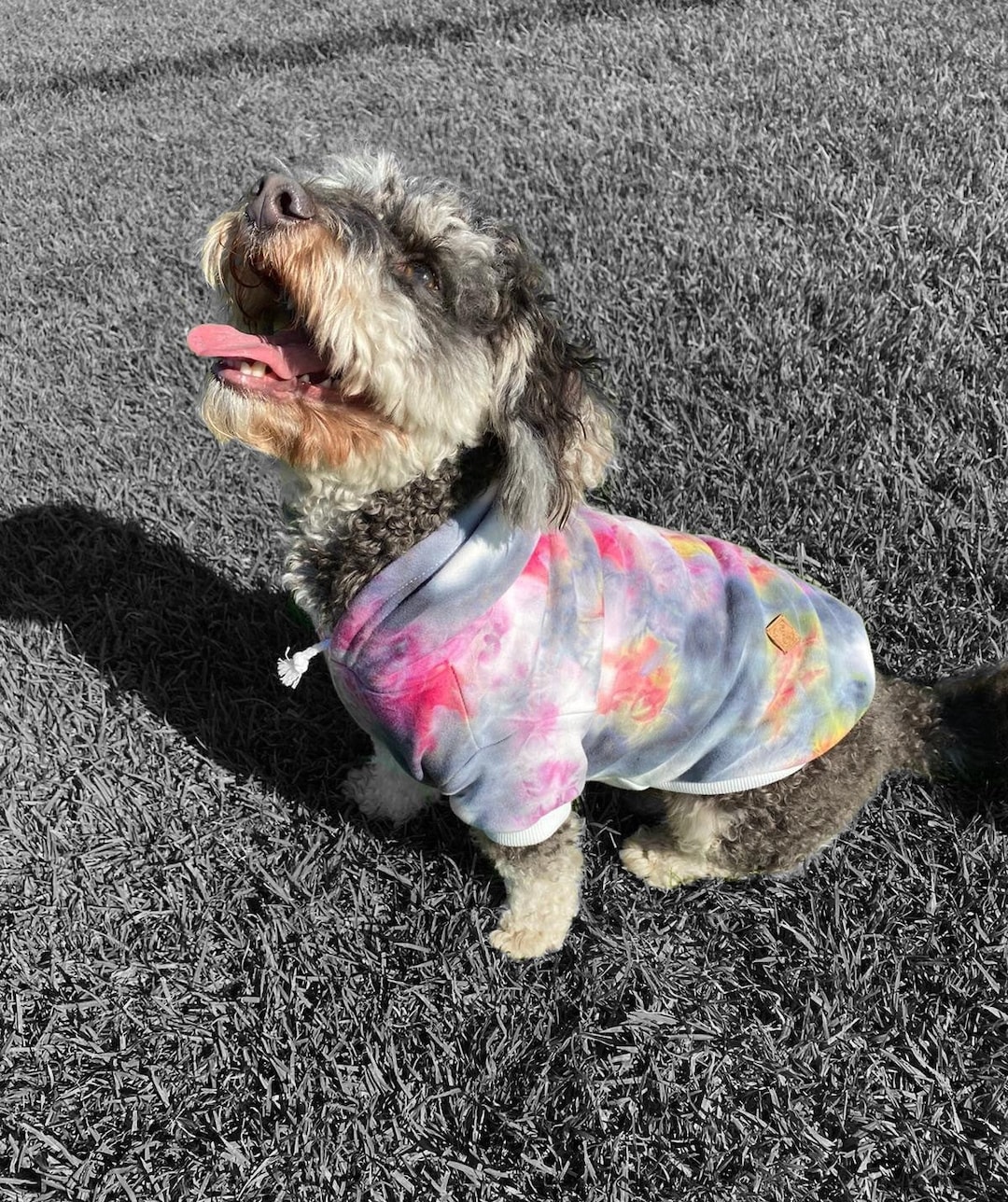 Black Pink Dog Hoodie, Dog Clothes, Dog Sweatshirt, Dog Jacket, Dog ...