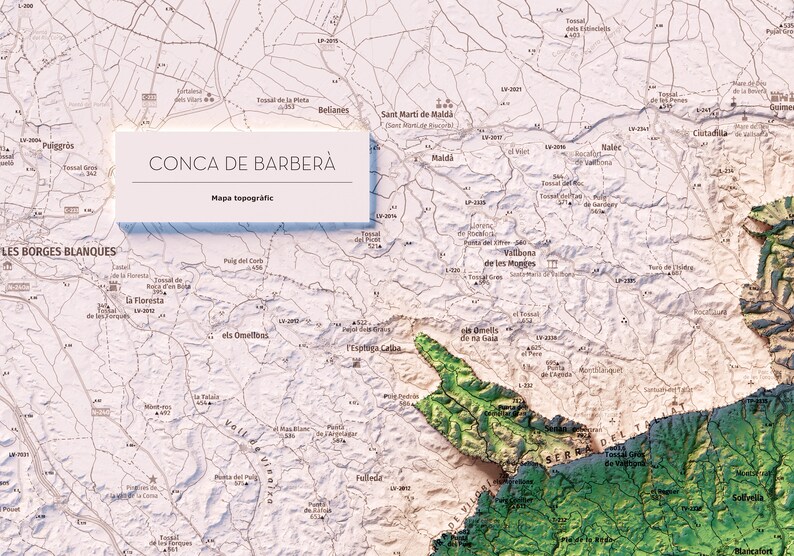 Colored Topographic Map of La Conca De Barberà. - Etsy