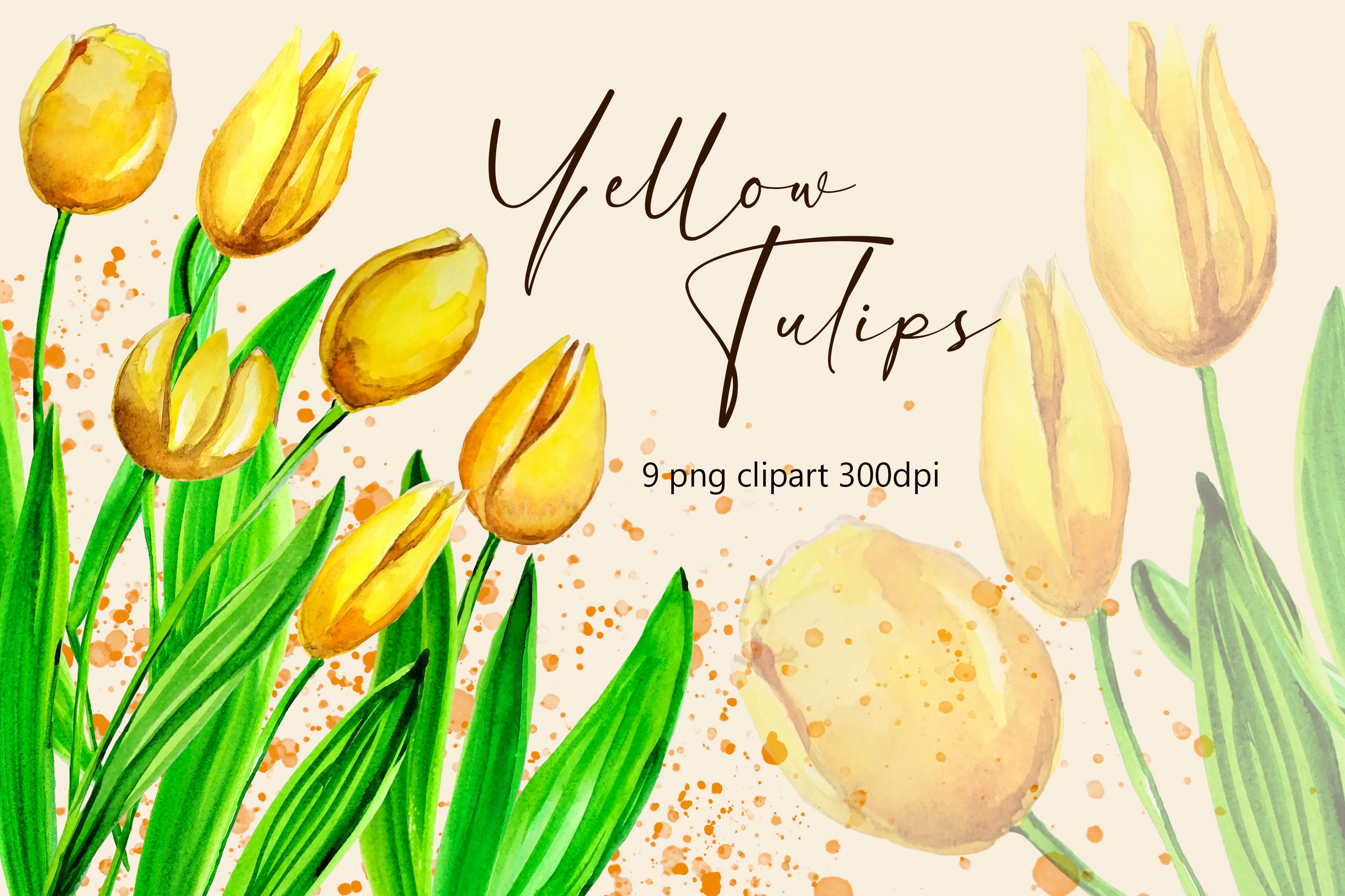 Watercolor Tulip Clip Art, Yellow Tulips Clipart, Hand Painted Tulips ...