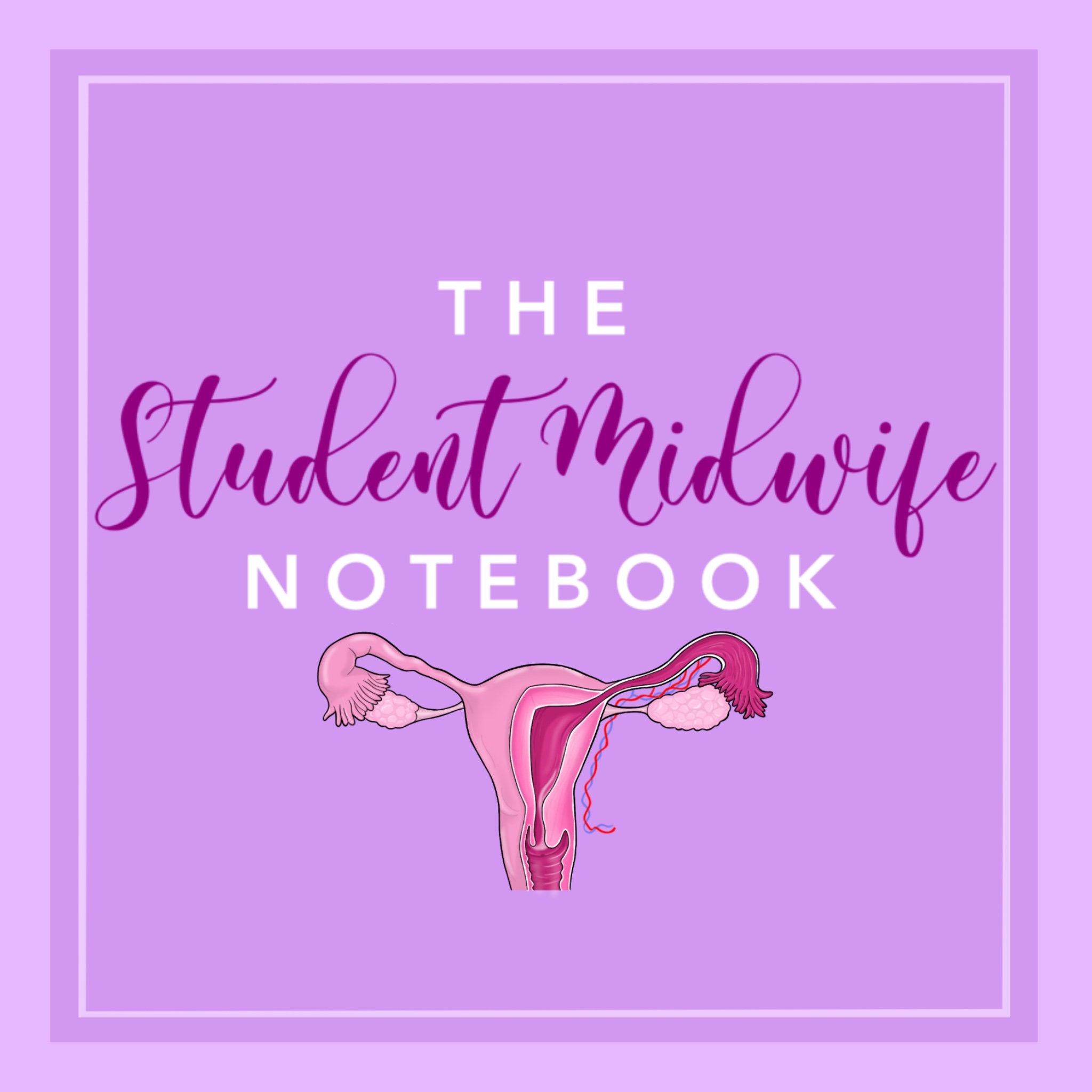 Medicine Log - Pharmacology Template for Student Midwife/midwife/nurse ...
