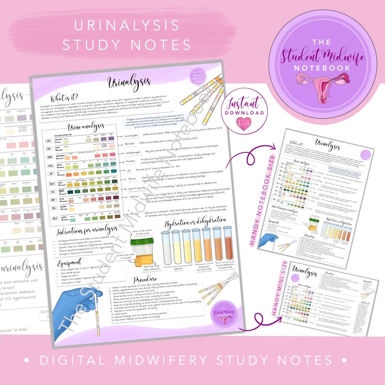 Urinalysis - Revision/study Notes for Student Midwife/student Nurse ...