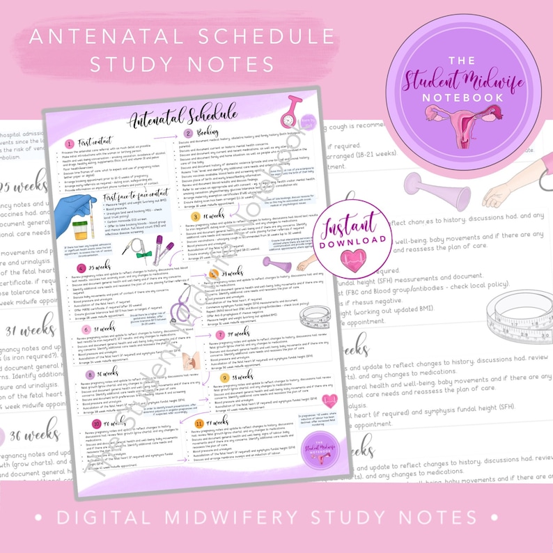 Antenatal Schedule of Care UK - Revision/study Notes for Student ...