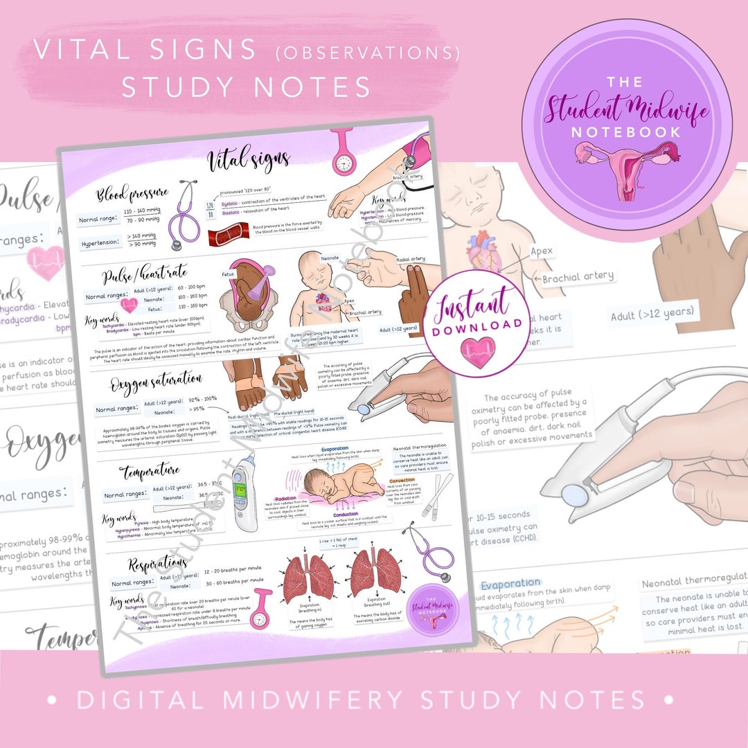 Vital Signs Study Notes - Midwifery, Nursing, Neonatal (digital PDF ...