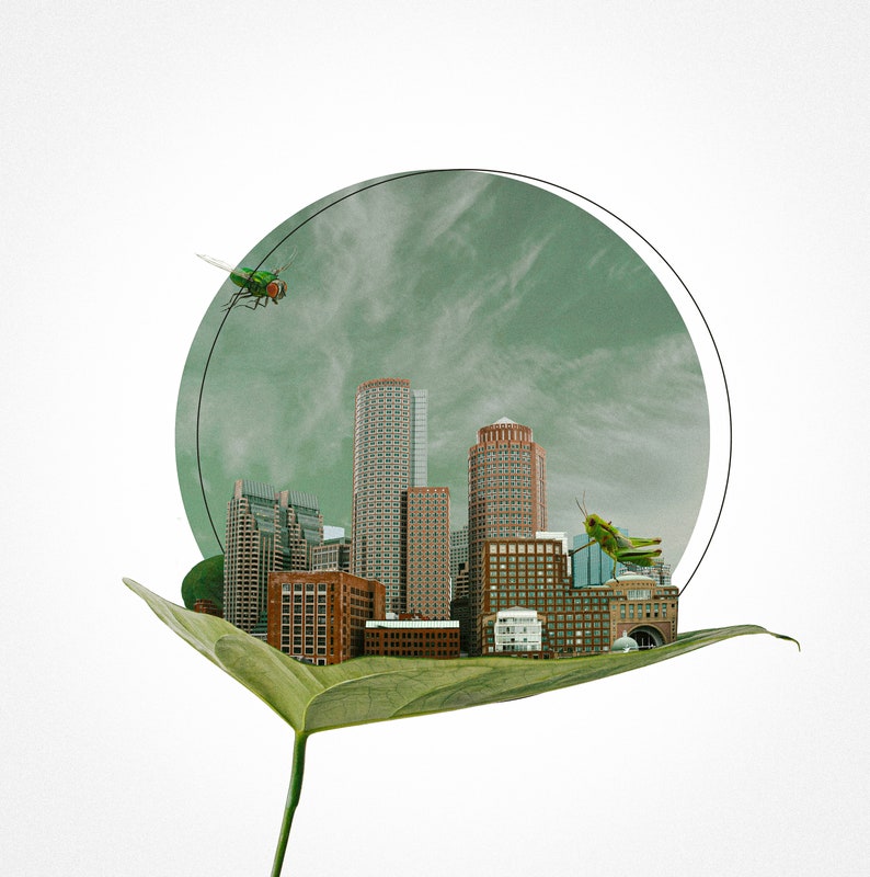 Bug City, Art Print - Etsy