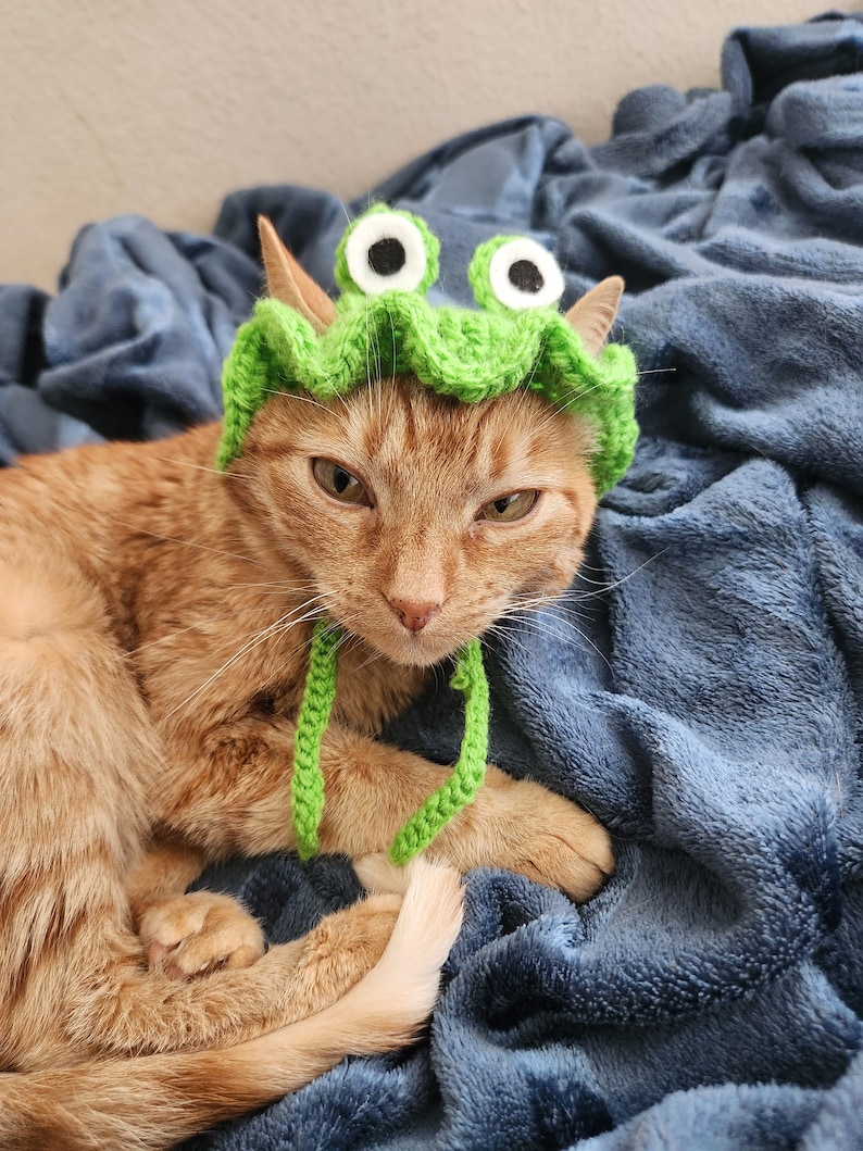 Crochet Frog Cat Hat - Etsy