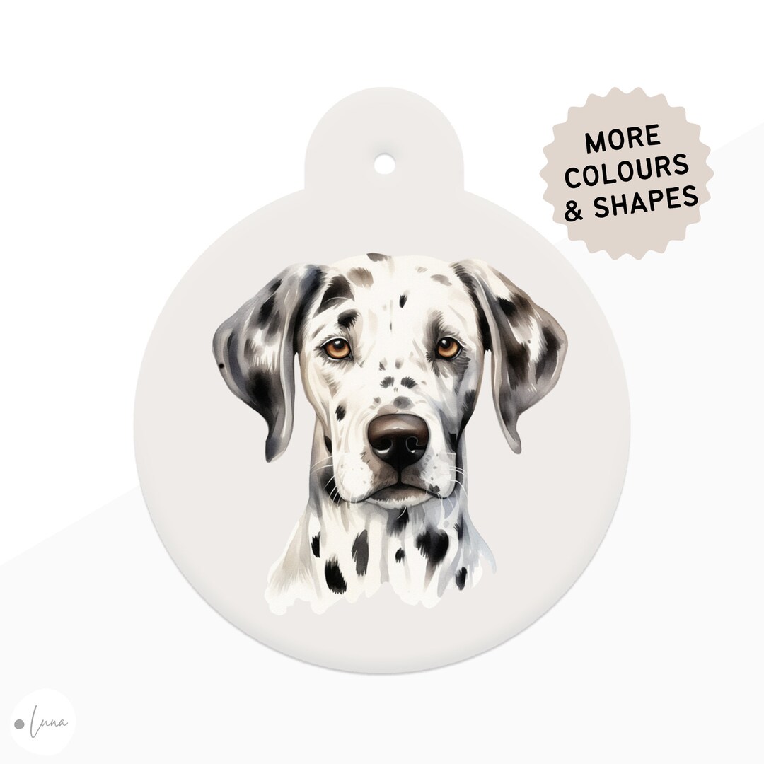 Dalmatian Dog ID Tag Watercolour Style With 3 Breed Colour Options in 6 ...