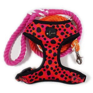 Pink + Orange Ombre Cotton Rope Dog Lead, 150cm Hand Died Rope Lead ...