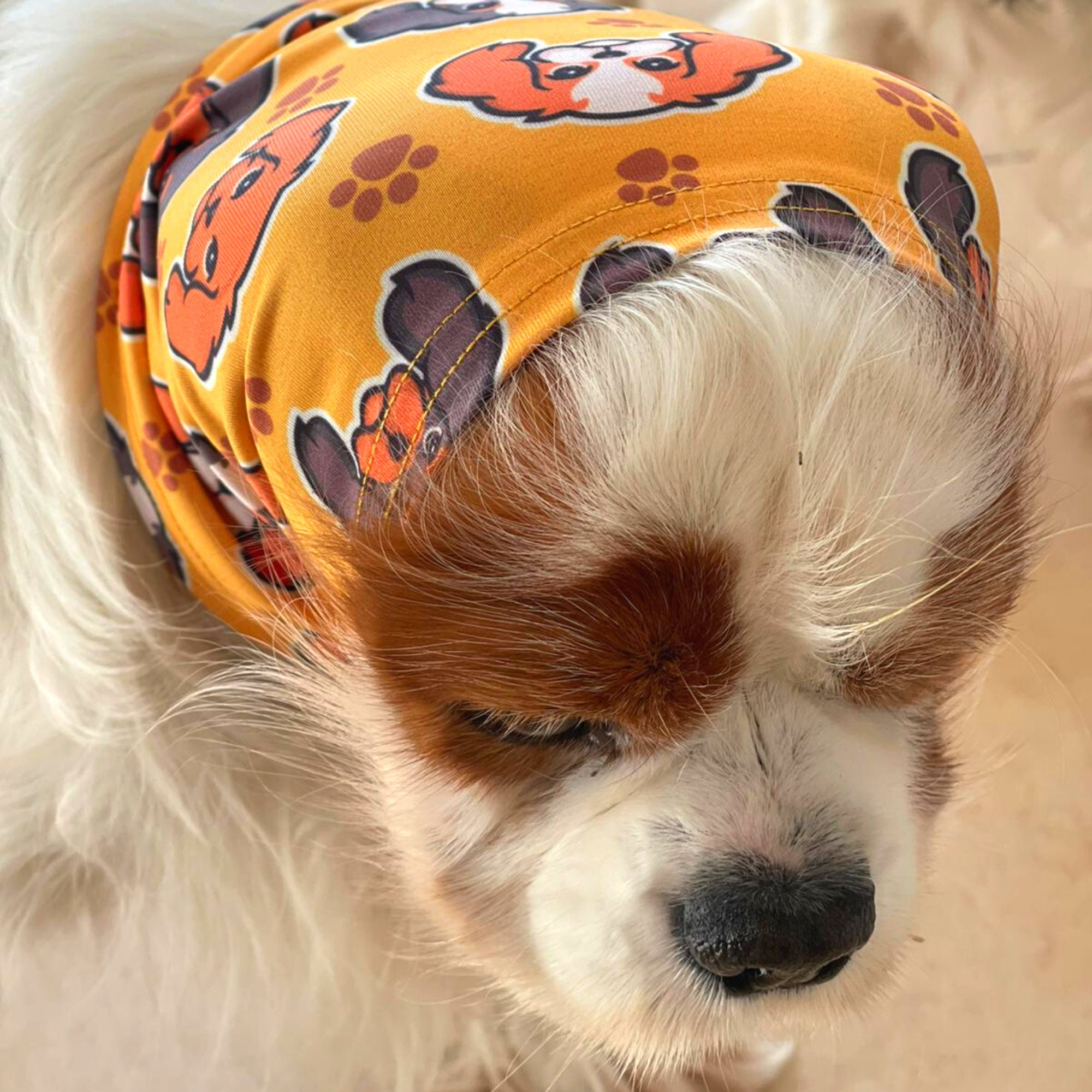 The Ultimate Guide to Finding the Best Dog Food Snood: Top 10 Products ...