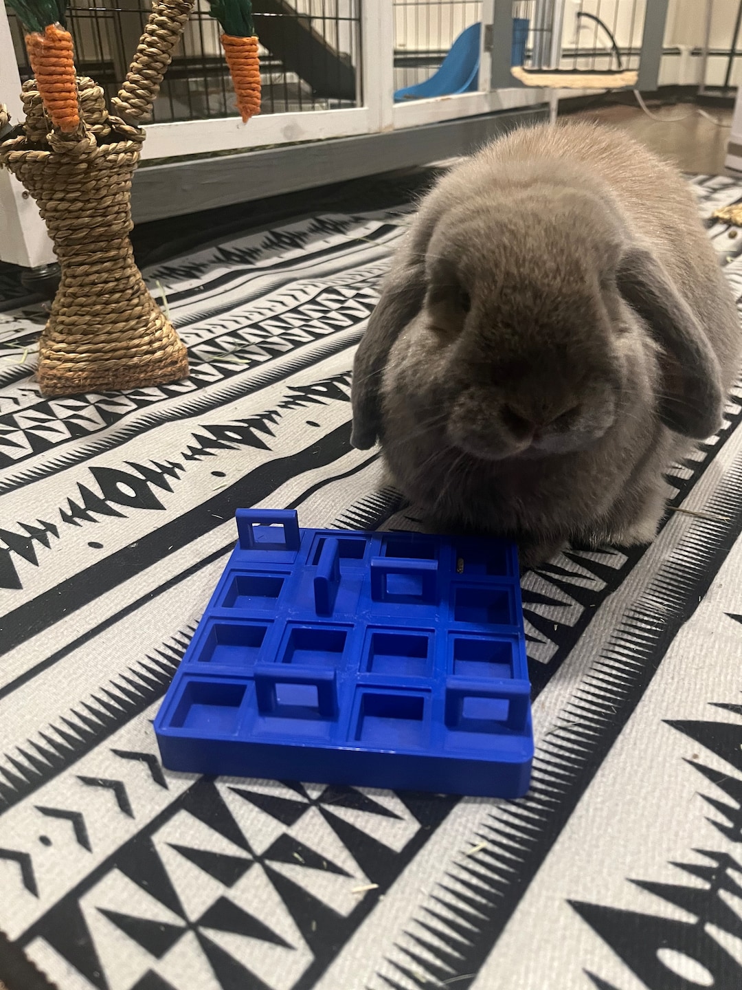 Rabbit Toy, Treat Hider, Boredom Breaker - 3D Printed - Etsy