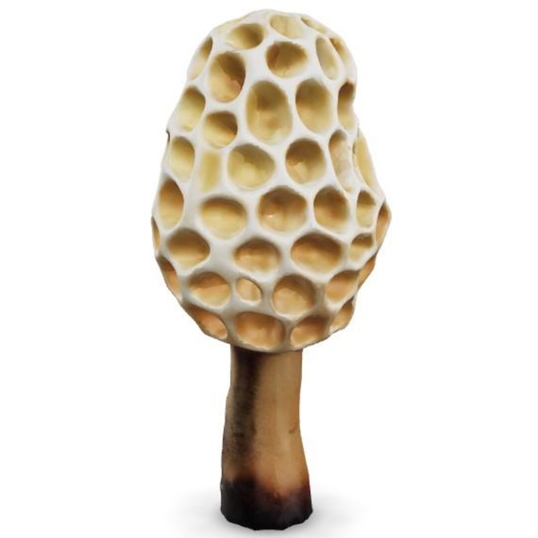 3D Printable Morel Mushroom Model | Realistic Nature Decor | STL File ...