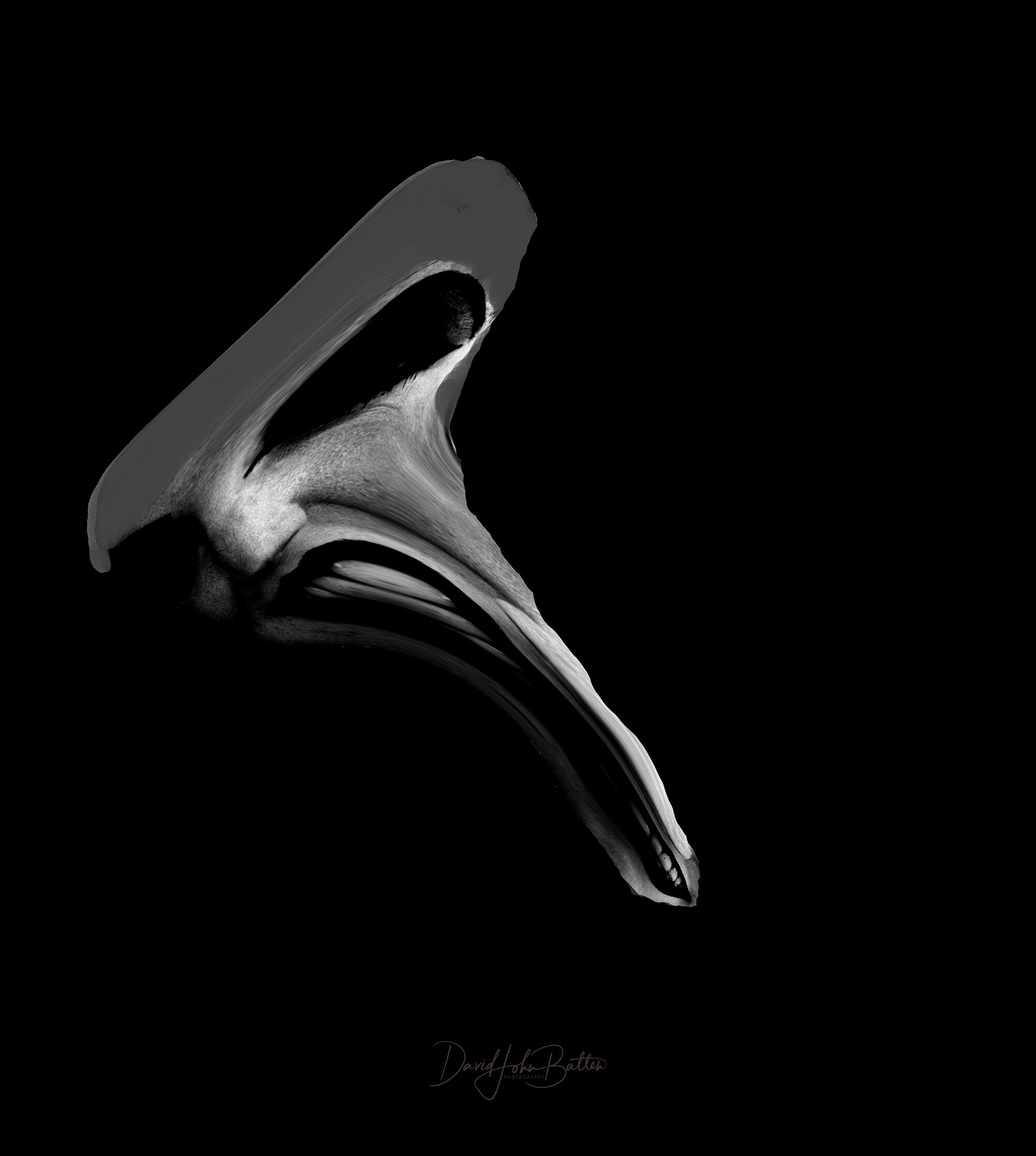 The Face, the Scream, Photo Wall Art " Evil A! Behind Closed Doors ...