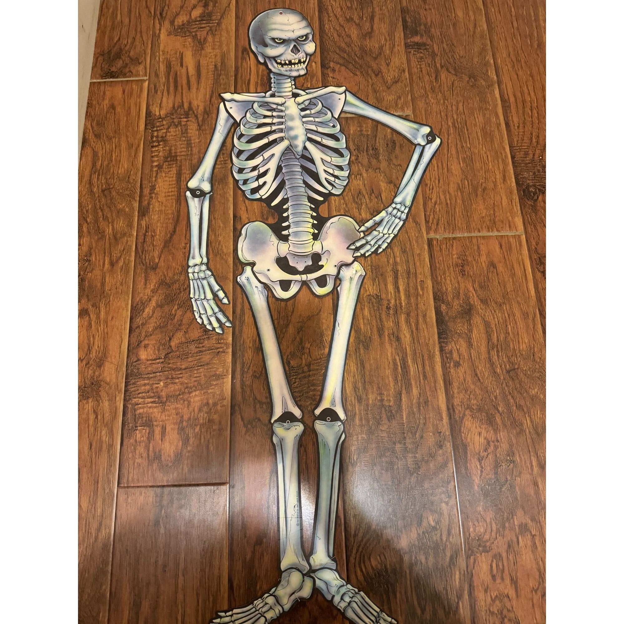 Vintage Beistle Life Size Cardboard Jointed Skeleton Halloween - Etsy