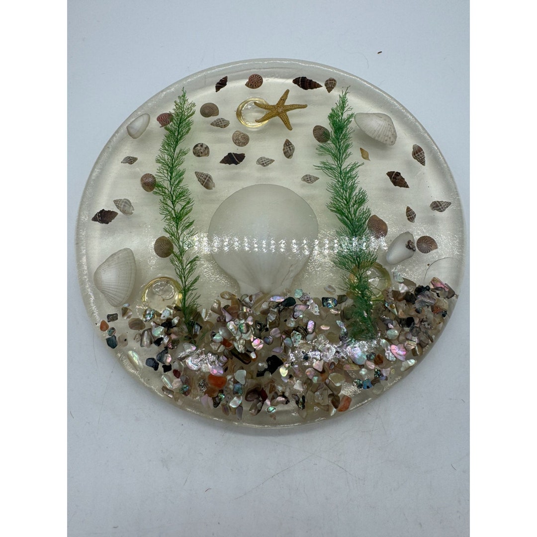 Vintage Lucite Trivet Beach Theme Seashells Abalone MCM - Etsy