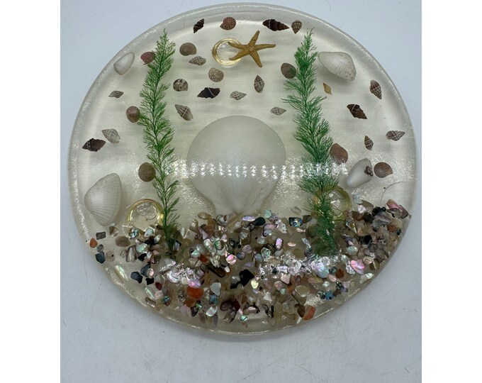 Vintage Lucite Trivet Beach Theme Seashells Abalone MCM - Etsy