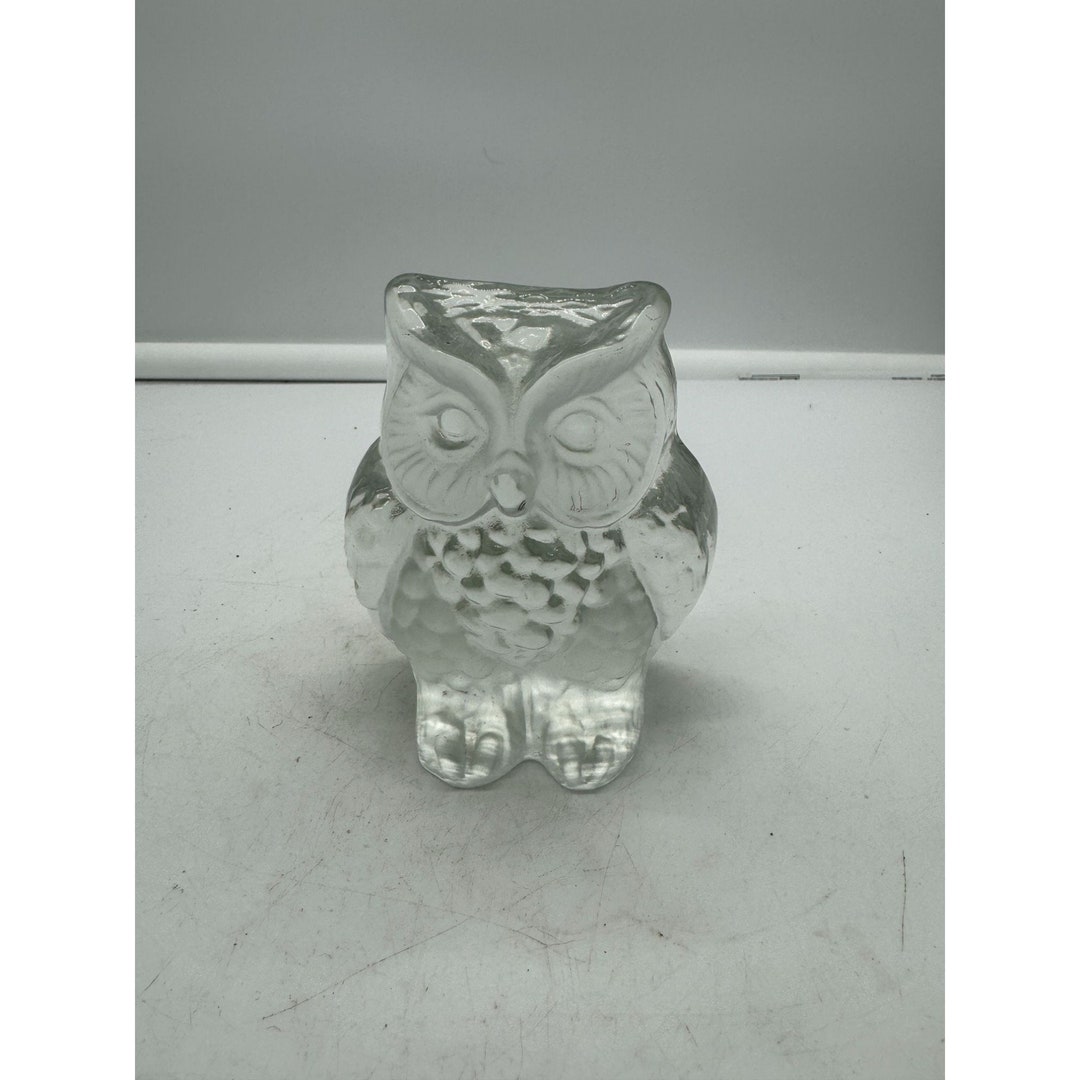 Vintage Frosted and Clear Glass Owl Paperweight Sculpture - Etsy