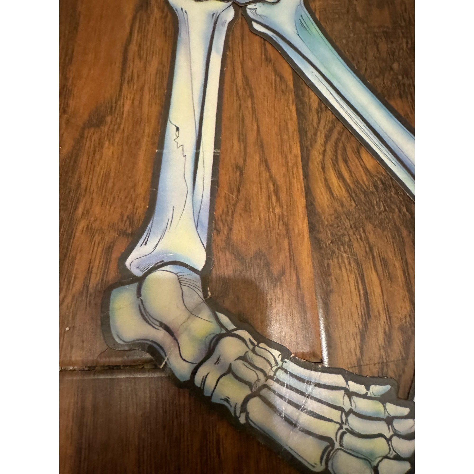 Vintage Beistle Life Size Cardboard Jointed Skeleton Halloween - Etsy