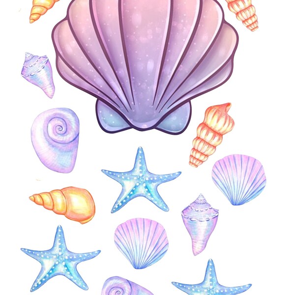 Shellabrate - Etsy