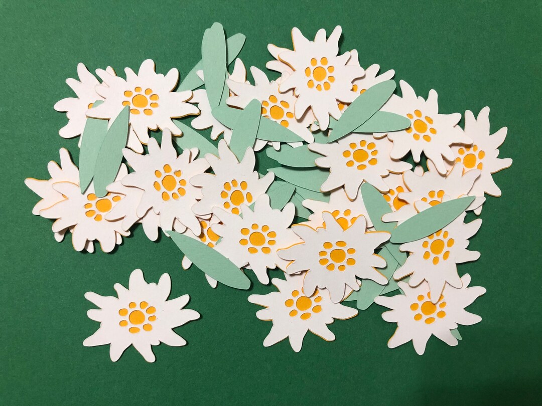 Edelweiss Confetti - Hand Glued. Octoberfest Table Decor. - Etsy