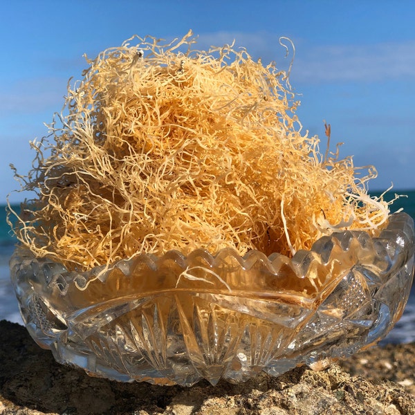 Wildcrafted Sea Moss - Etsy