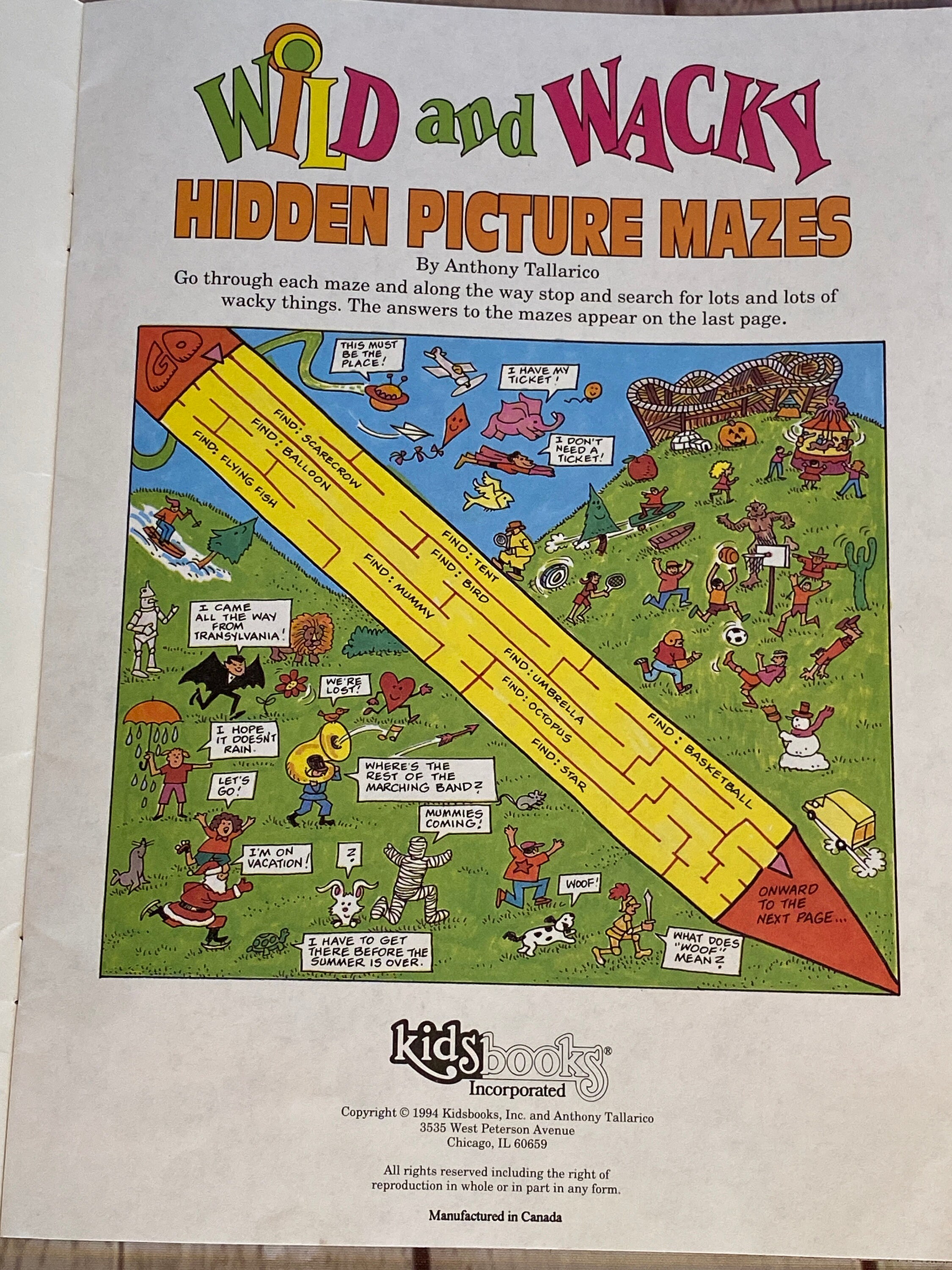 Wild and Wacky Hidden Picture Mazes by Kids Books Inc 1994 - Etsy