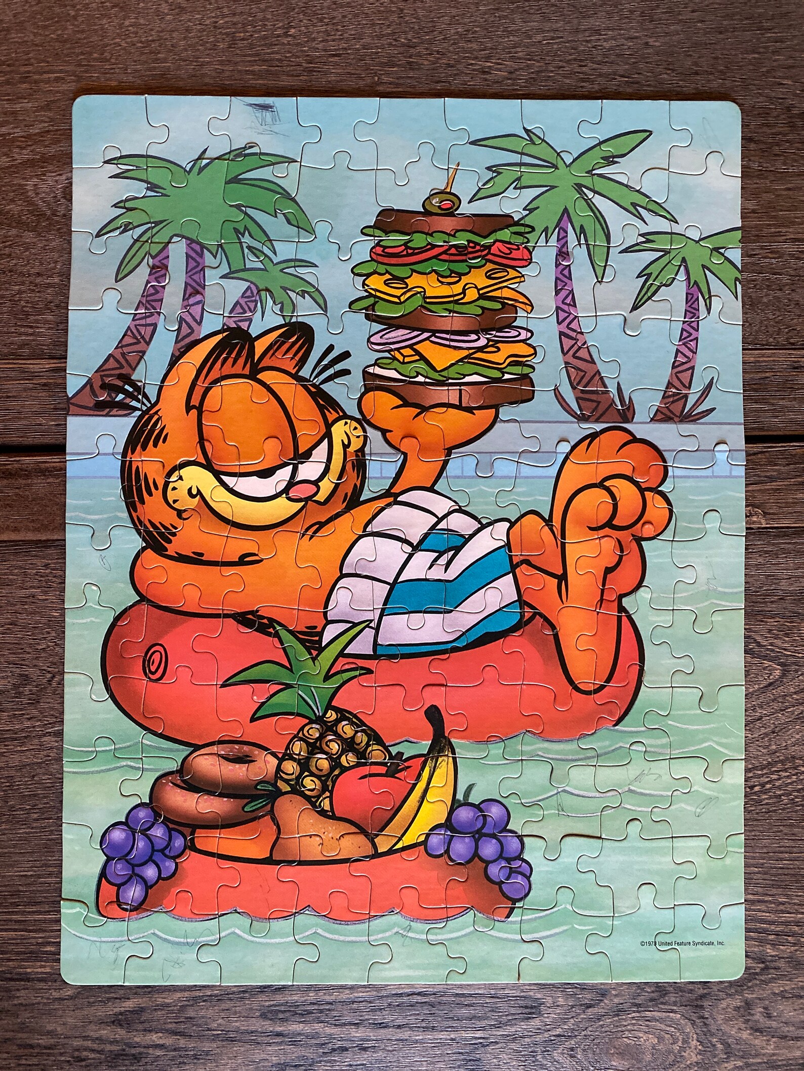 Vintage Garfield sandwich & Pool Time 100 Piece Puzzle by Golden 1978 ...