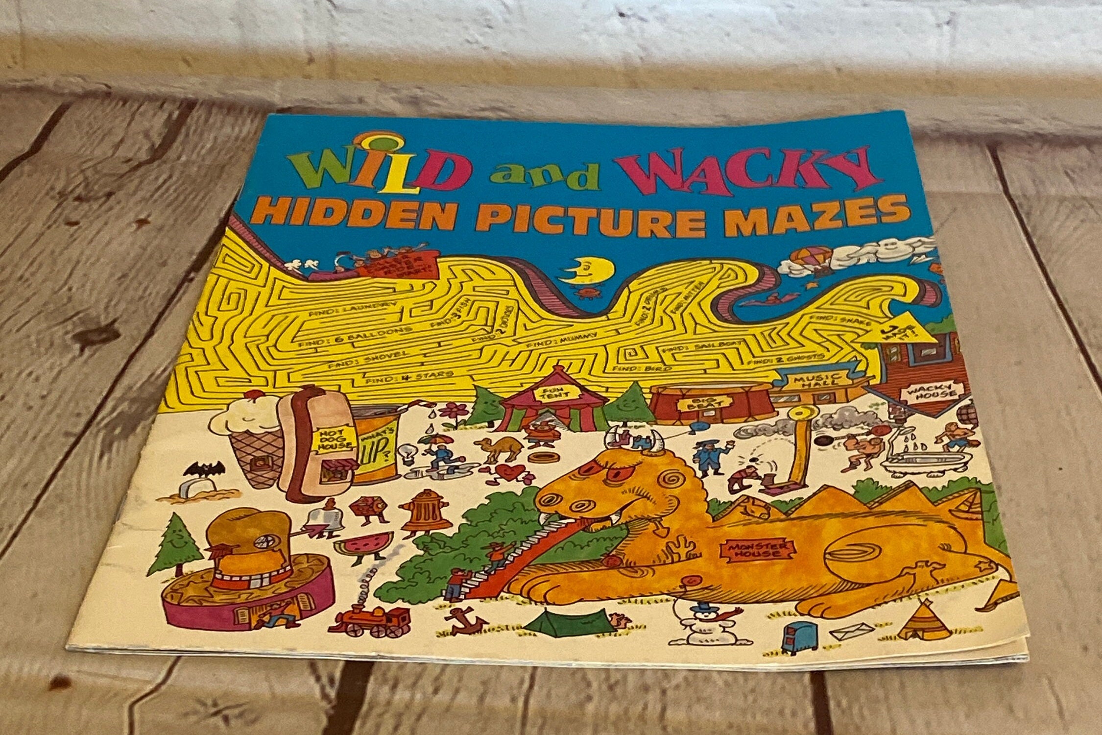Wild and Wacky Hidden Picture Mazes by Kids Books Inc 1994 - Etsy