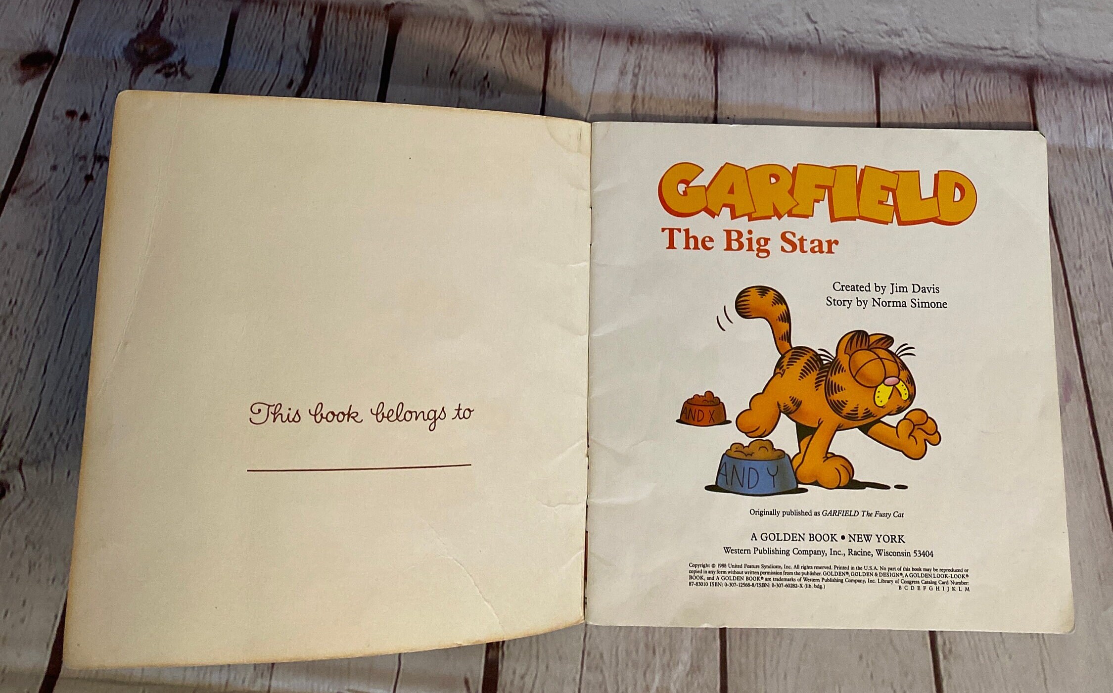 Garfield the Big Star' by Golden Books 1988 Softcover Kids Book - Etsy