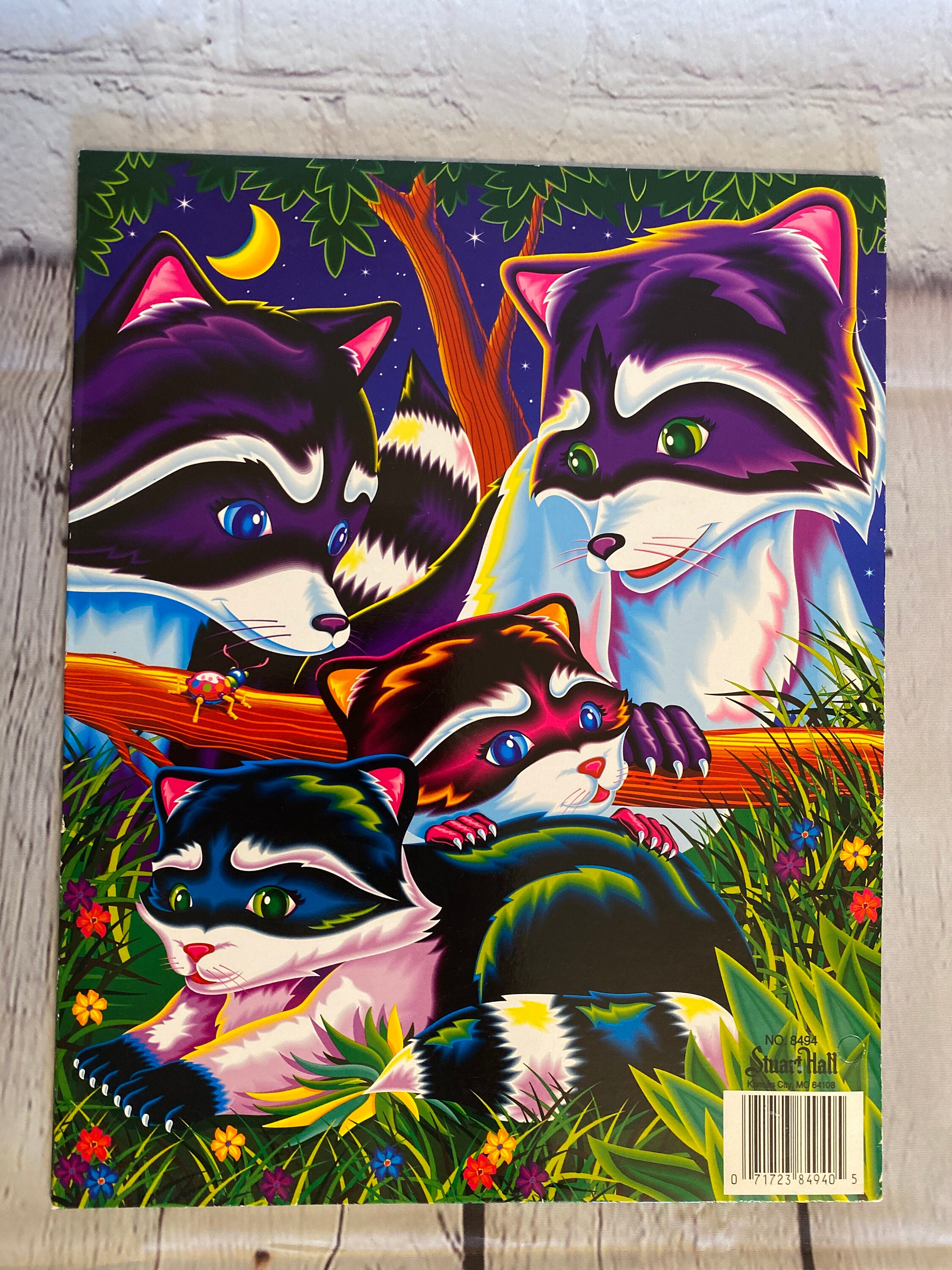 Vintage Lisa Frank Raccoon Family 90s Folder Unpunched Rare Lisa Frank ...
