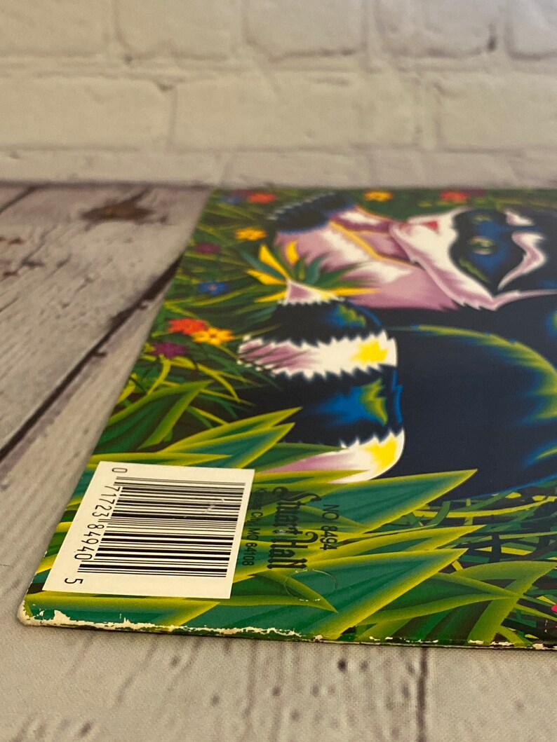 Vintage Lisa Frank Raccoon Family 90s Folder Unpunched - Etsy