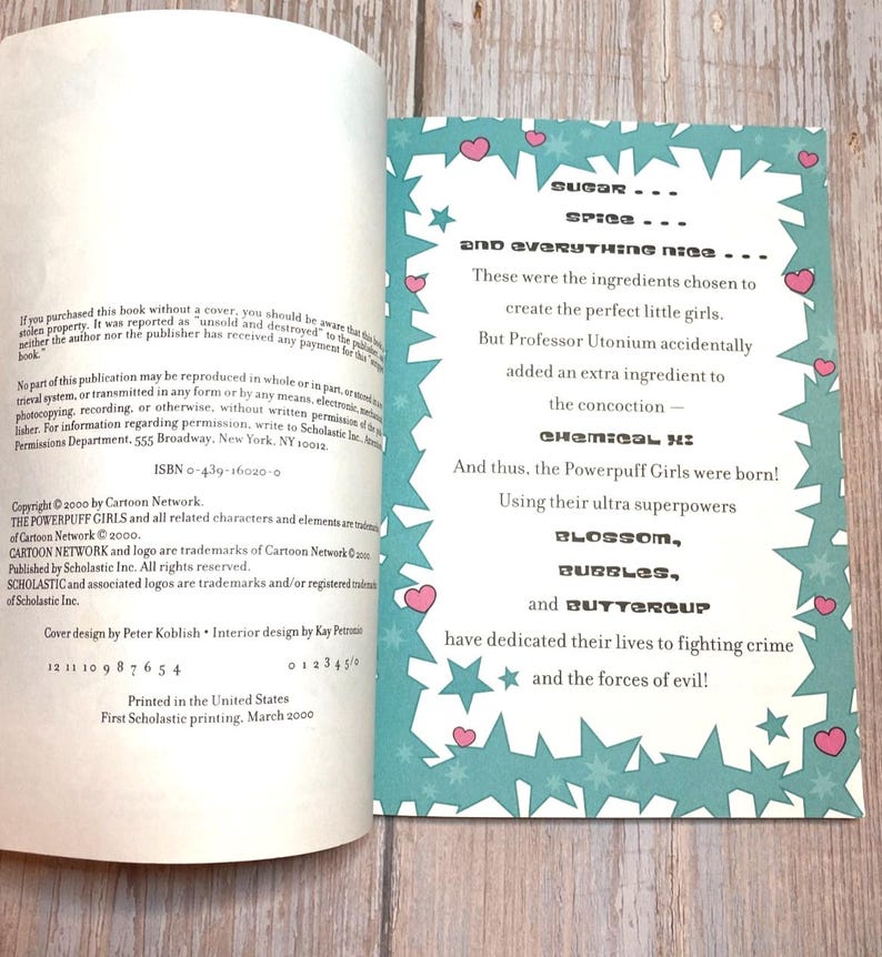 The Powerpuff Girls "all Chalked Up" Paperback Chapter Book ...
