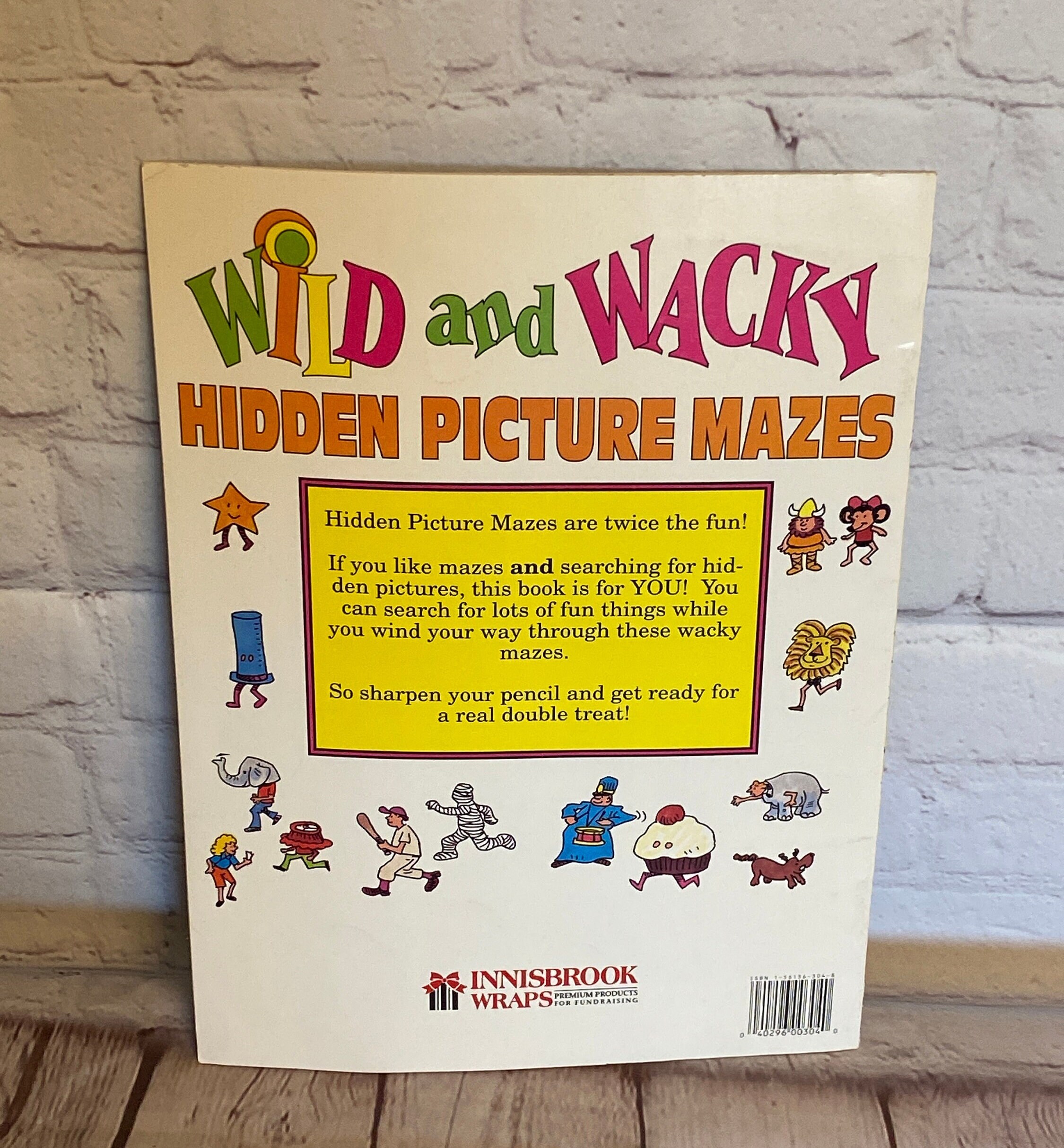 Wild and Wacky Hidden Picture Mazes by Kids Books Inc 1994 - Etsy