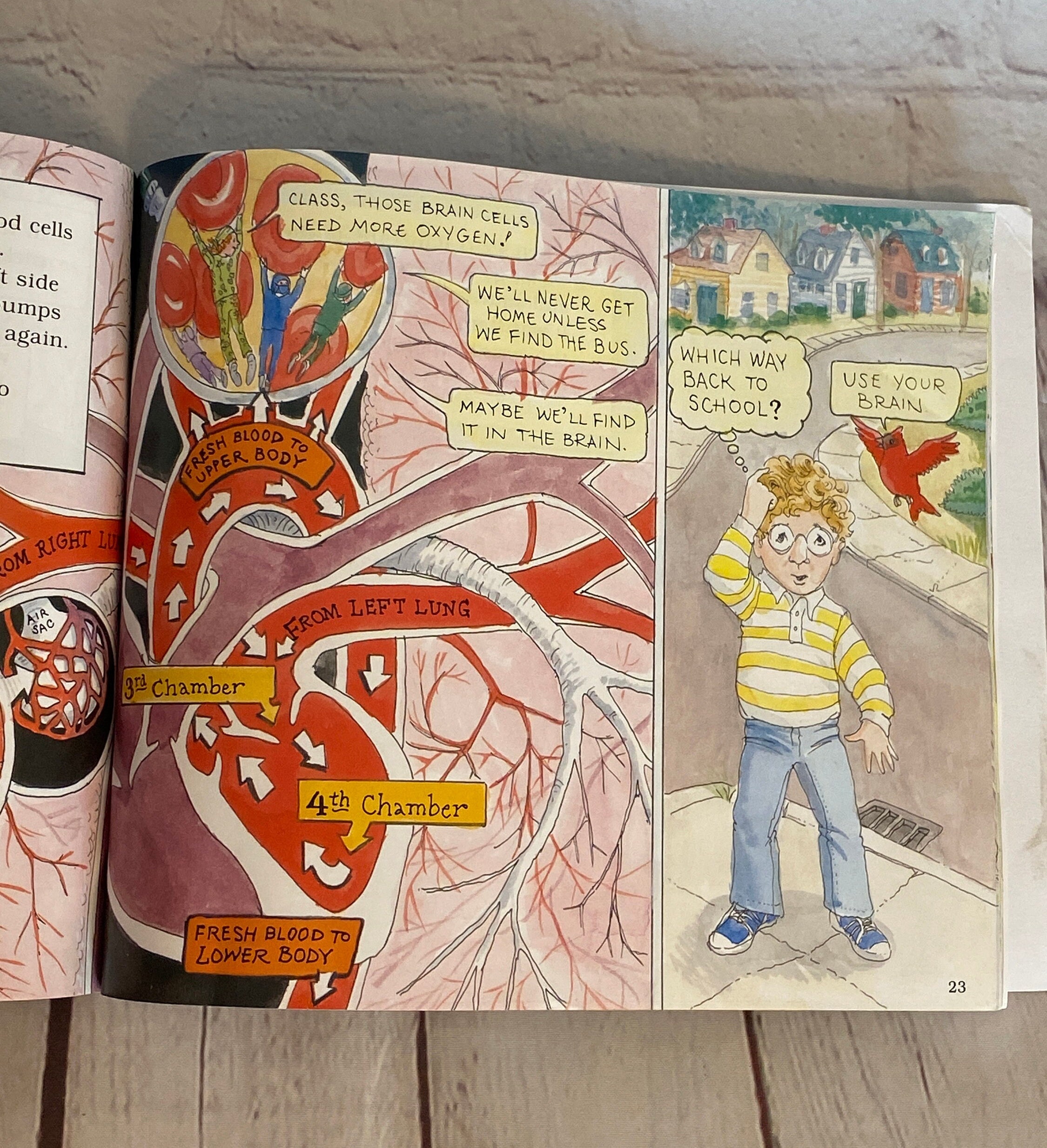 The Magic School Bus inside the Human Body by - Etsy