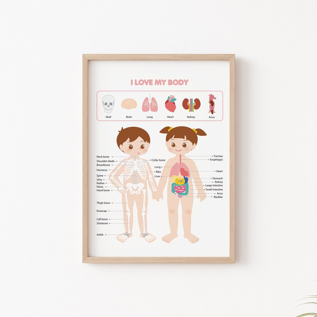 Kids Body Poster | Educational Poster | Nursery Wall Art | Homeschool ...