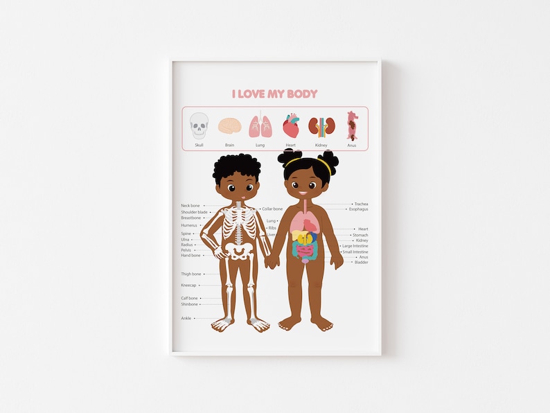 Body Poster Set | Educational Poster | Nursery Wall Art | Home School ...