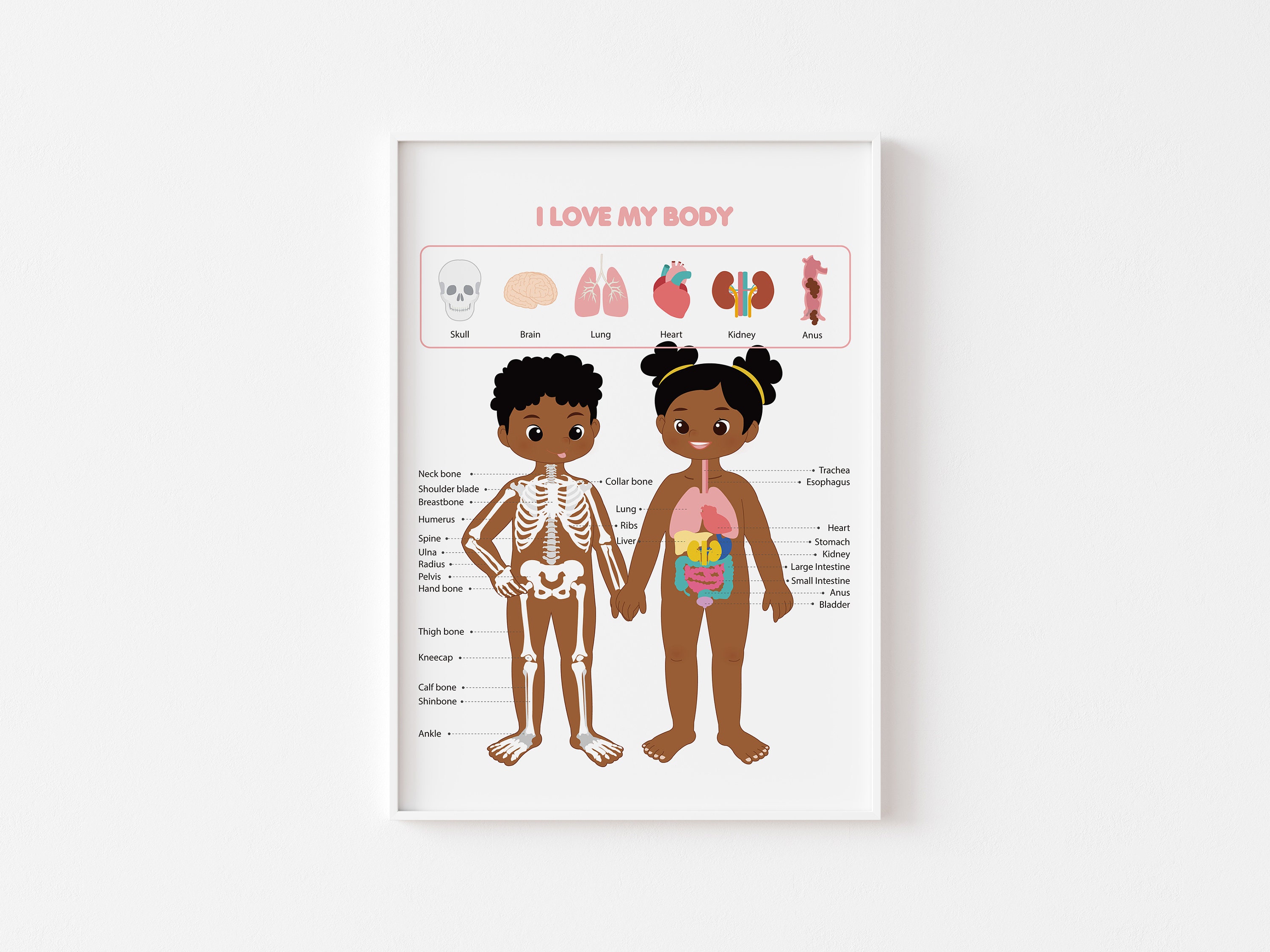 Body Poster Set | Educational Poster | Nursery Wall Art | Home School ...
