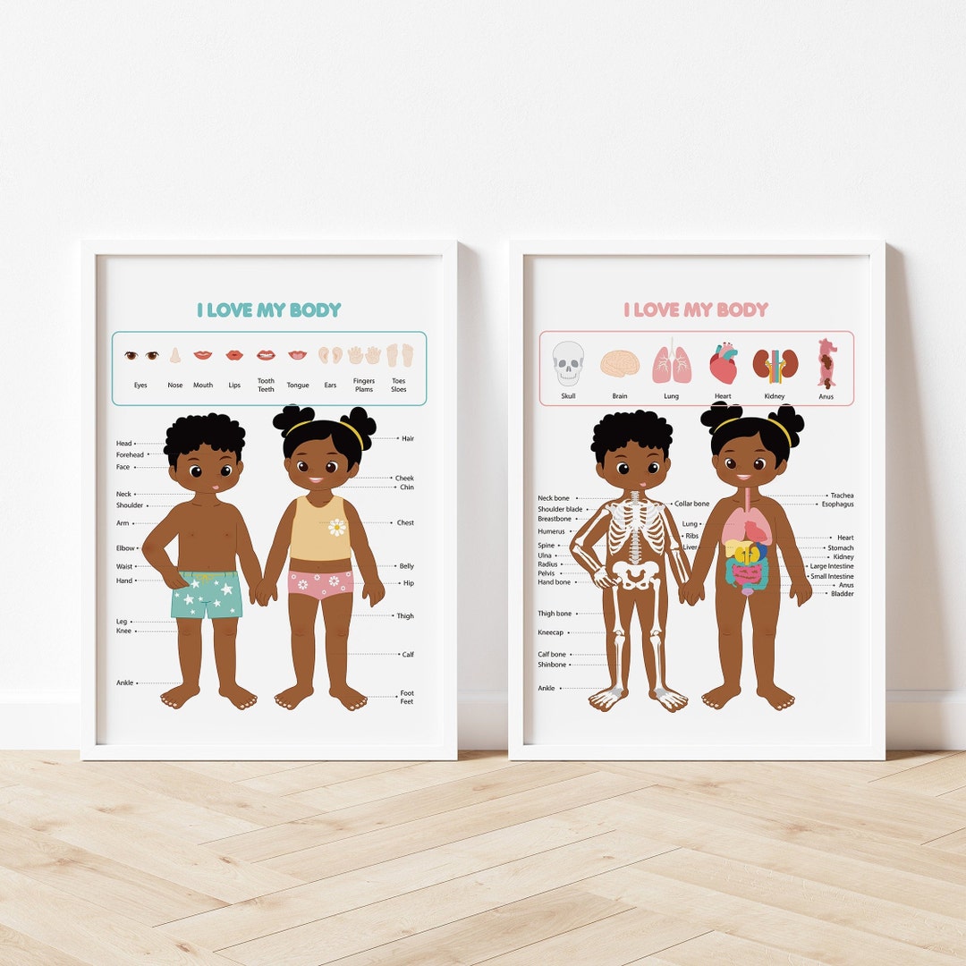 Body Poster Set | Educational Poster | Nursery Wall Art | Home School ...