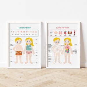 Body Poster Set | Educational Poster | Nursery Wall Art | Home School ...