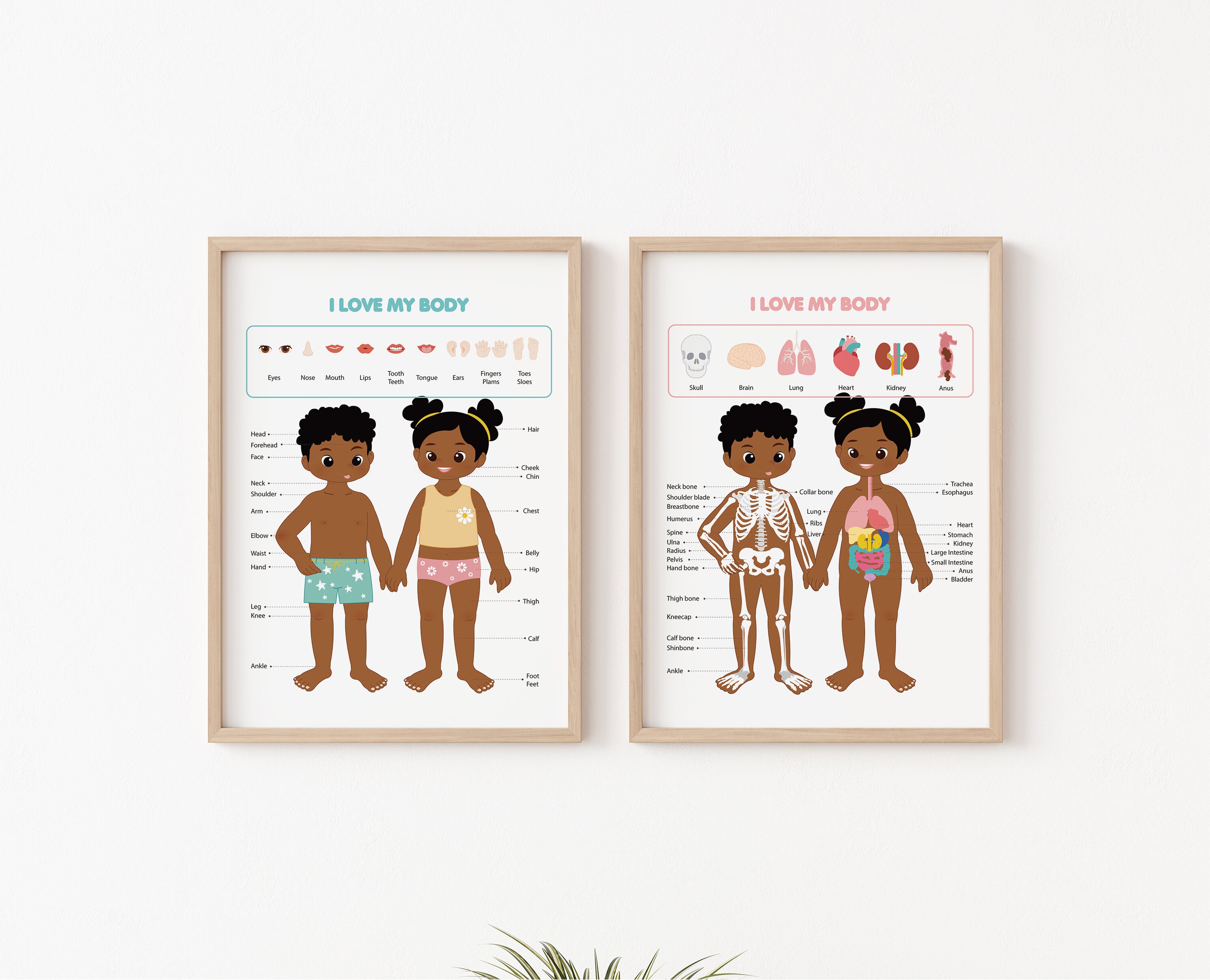 Body Poster Set | Educational Poster | Nursery Wall Art | Home School ...