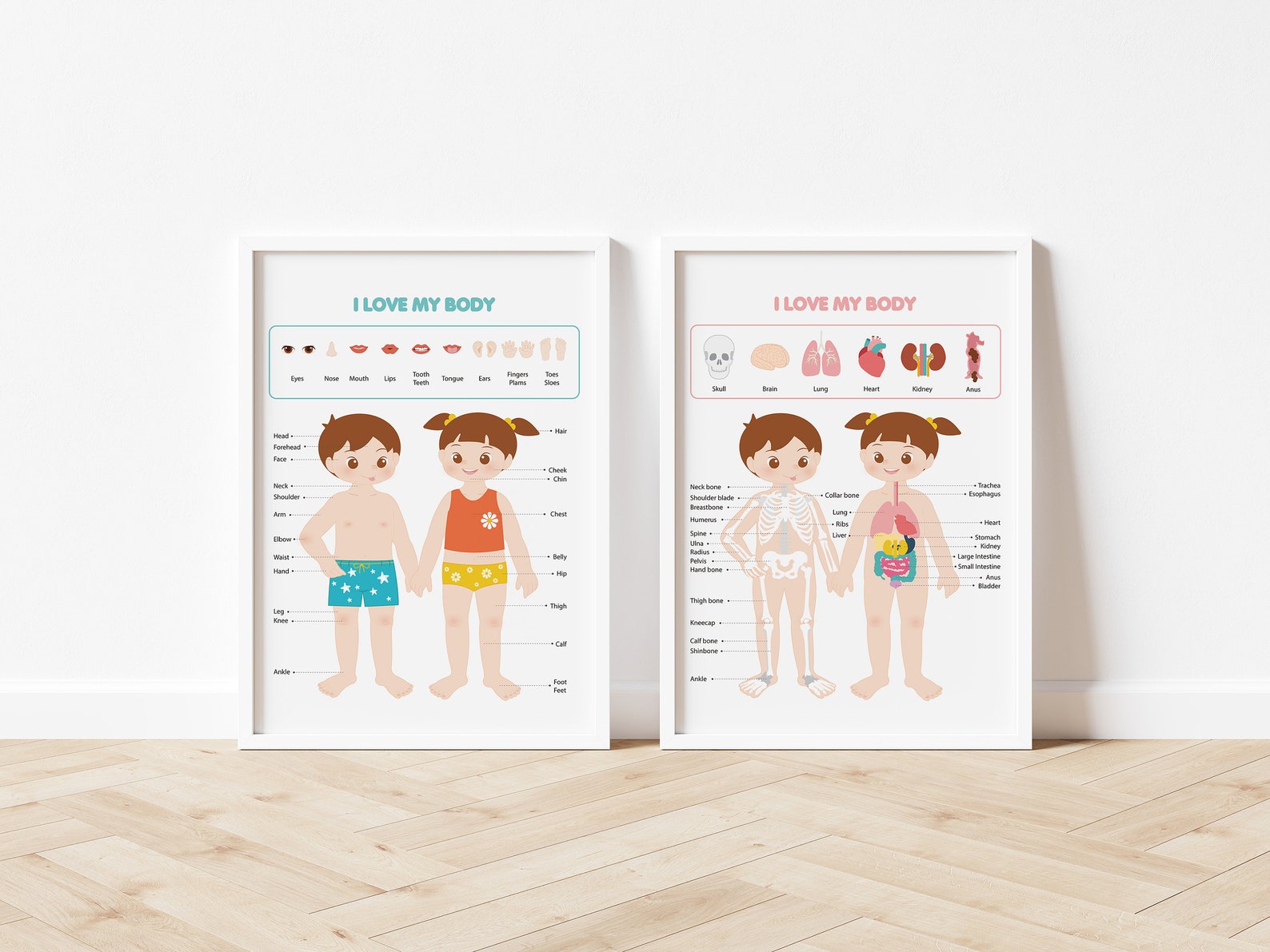 Kids Body Poster Educational Poster Nursery Wall Art - Etsy