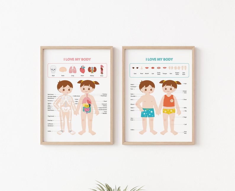 Kids Body Poster | Educational Poster | Nursery Wall Art | Homeschool ...
