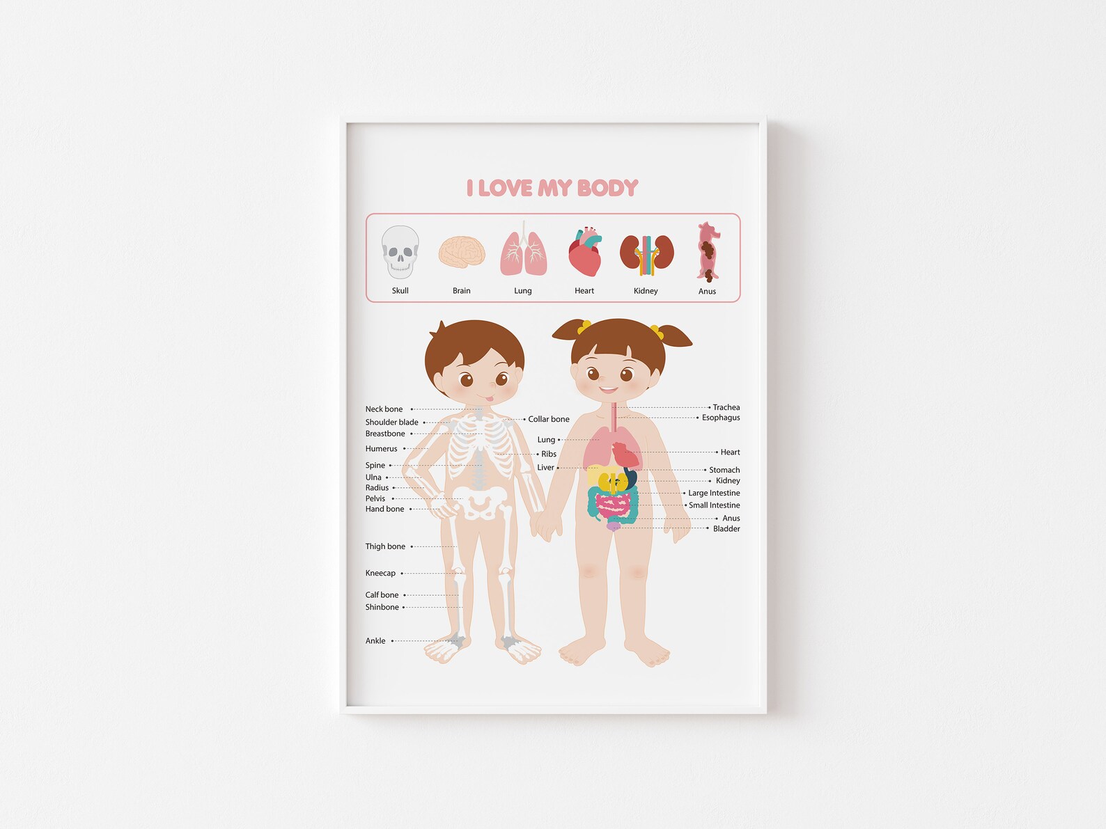 Kids Body Poster Educational Poster Nursery Wall Art - Etsy