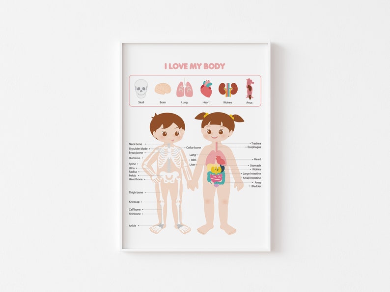 Kids Body Poster | Educational Poster | Nursery Wall Art | Homeschool ...