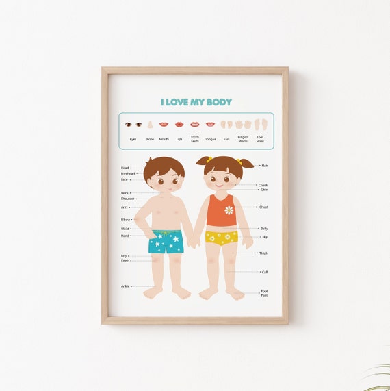 Kids Body Poster Educational Poster Nursery Wall Art - Etsy