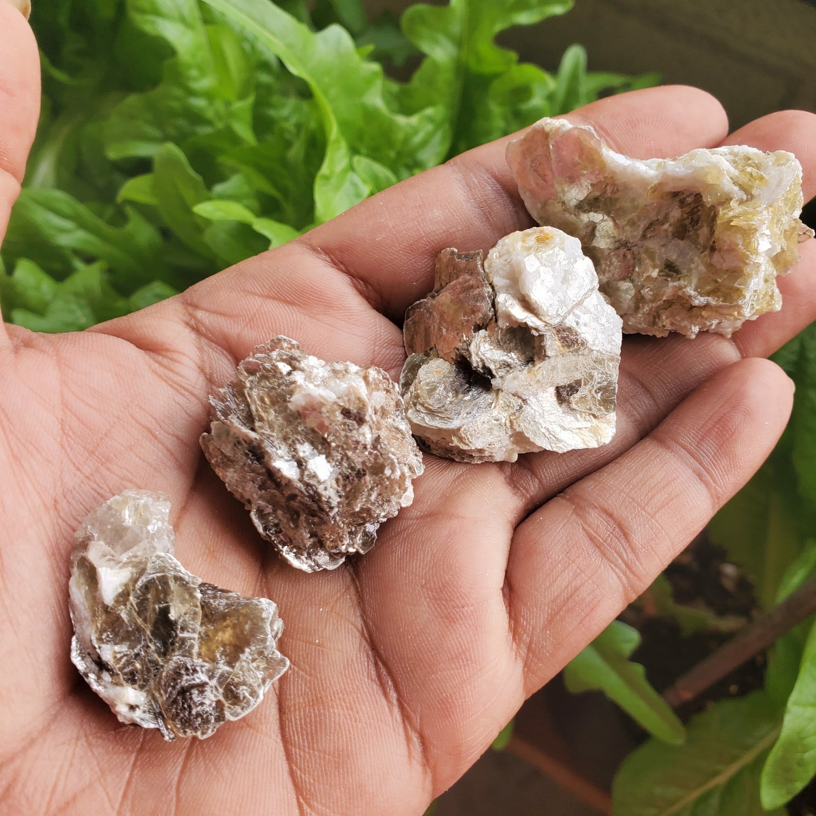 Golden Mica Flower Cluster From Minas Gerais Brazil | Etsy