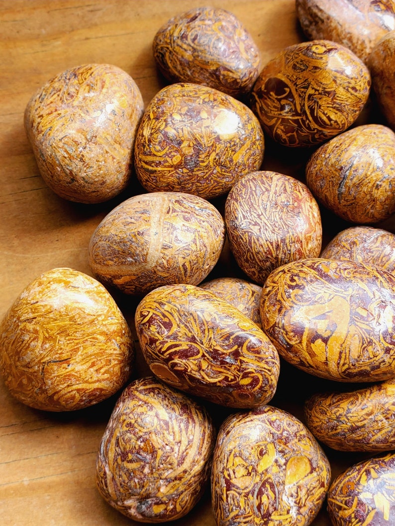 Miriam Stone-calligraphy Tumbled Stones Coquina - Etsy