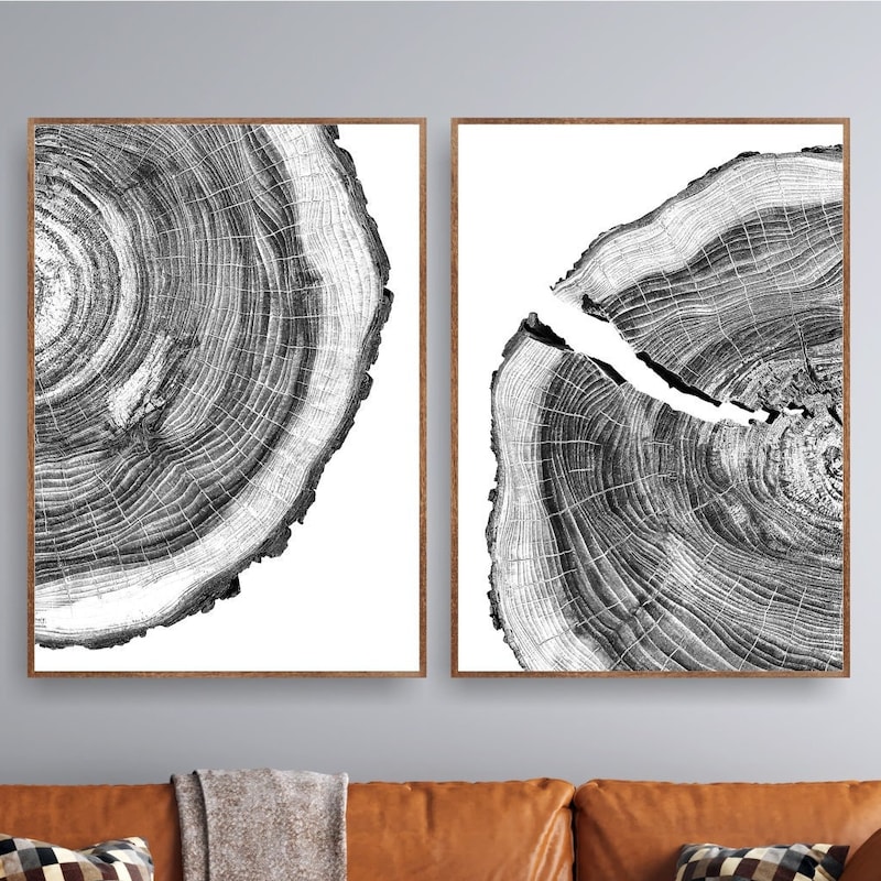 Tree Trunk Slices - Etsy