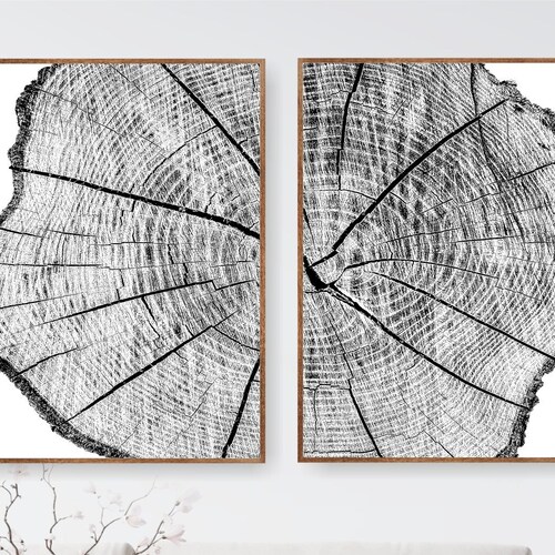 Tree Ring Prints Lake House Large Wall Art Posters - Etsy