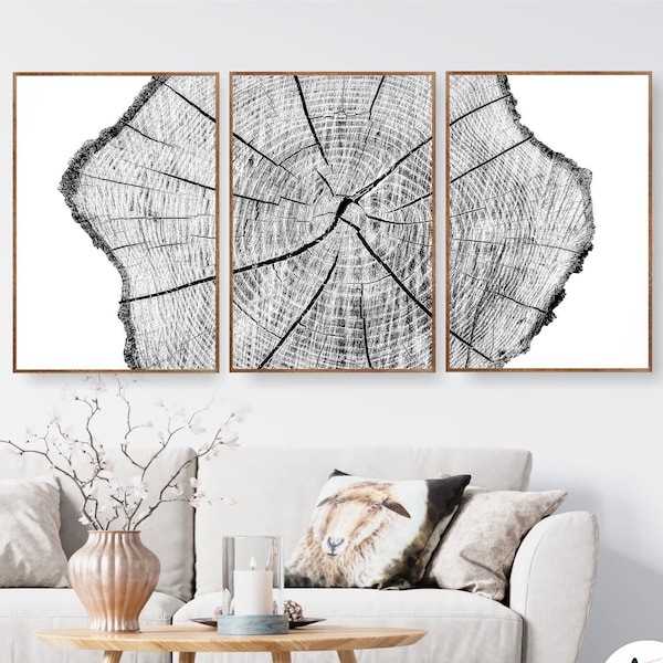 Tree Ring Wall Art - Etsy