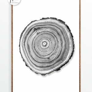 Tree Stump Wall Art Prints, Set of 3 Large Canvas Wall Decor - Etsy