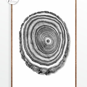 Tree Stump Wall Art Prints, Set of 3 Large Canvas Wall Decor - Etsy